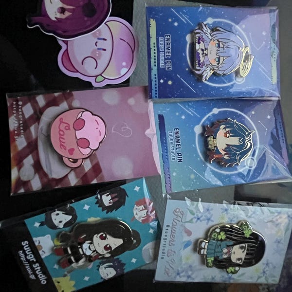 HSR Sunday and Robin Honkai Star Rail Hard Enamel Pin - Etsy