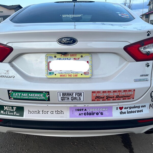 A Silly Goose Drives This Car! Funny Cute License Plate Frame Car ...