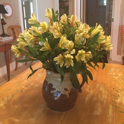 Large One Gallon Brownstone Pitcher Made to Order - Etsy