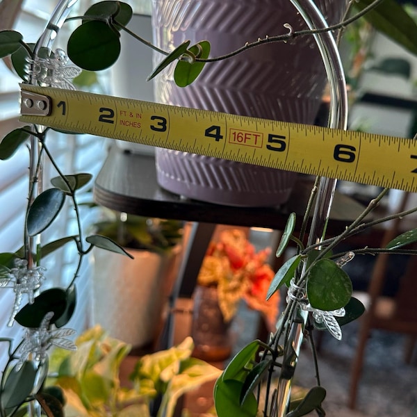 Arch Acrylic Houseplant Trellis With Tapered Connectors - Etsy