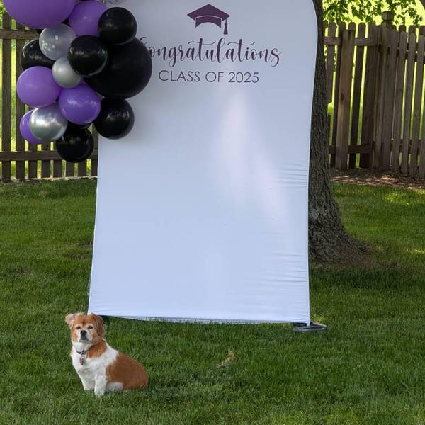 Class of 2024 Decal for Balloon Arch Sign Graduation Decal for Sign ...