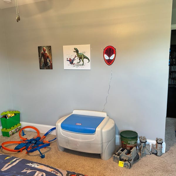 Spider-man Vs T. Rex Tyrannosaurus Poster or Canvas Picture Peter ...