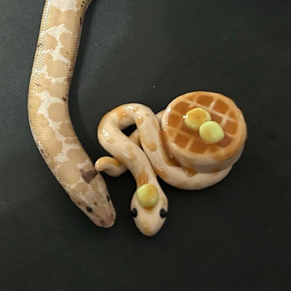 Snake Collection: Pancake Clay/ Pottery/ Art - Etsy