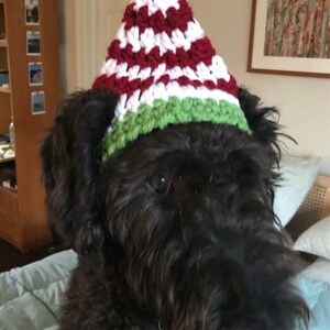 Crochet Pattern 059 Crown for Cat Crown for Small Dog Pet | Etsy