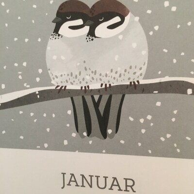 Birthday Calendar Birds - Etsy