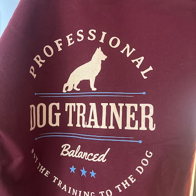 Dog's Point of View T-shirt, Dog Trainer Shirt, Dog Trainer Gift, Dog ...