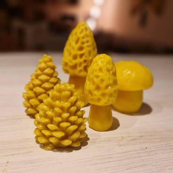 Morel Mushroom Candle Mold - Morchella Mushroom Candle Mold - True ...