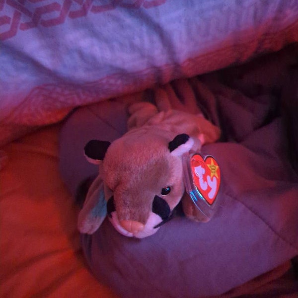 Ty Beanie Boo “pellie” the Adorable Leopard - Claire’s Exclusive - No ...