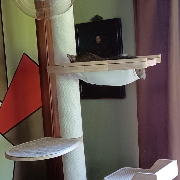 Rubber Wood Cat Tree Floor to Ceiling, No Drilling, Adjustable Height ...