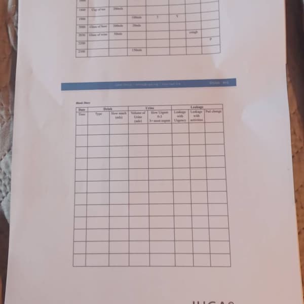 Bladder Diary Tracker Printable: Urination & Symptoms Log (PDF) - Etsy