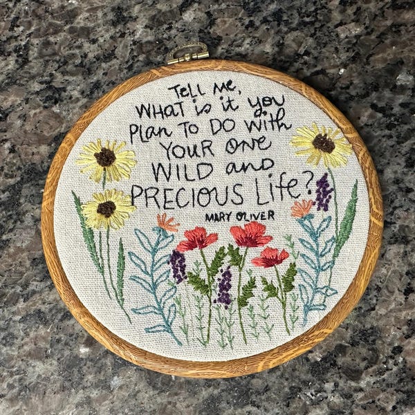 What is You Plan to Do With Your One Wild and Precious Life? // Mary ...