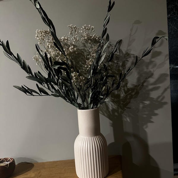 Preserved Olive, Olive Stems, Green Olive, Preserved Olive Branches ...