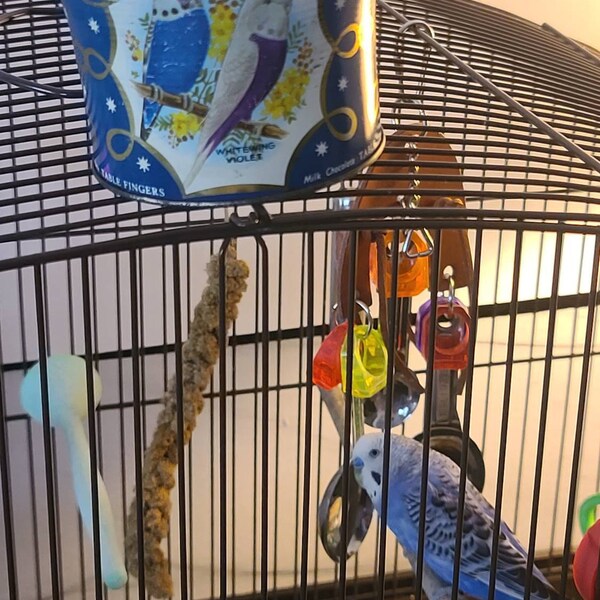 Vintage Olympia Beer Raisin Rack Advertisement / Raisin Drying Board ...