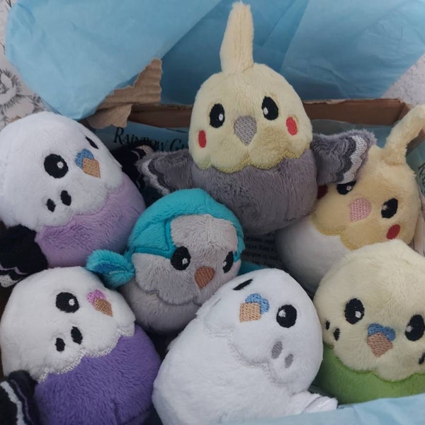 Quaker Parrot Borb Life 11 and 15 Oz Mugs, Personalized Quaker Parrot ...