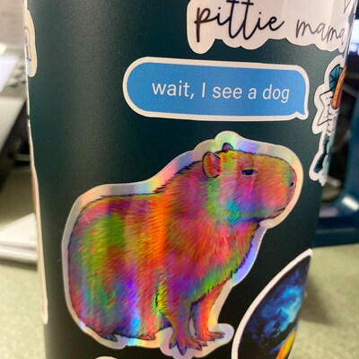 Psychedelic Rainbow Panther Chameleon Hippie Lizard Trippy - Etsy