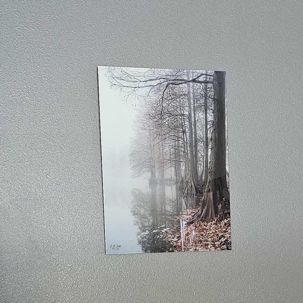 Tree of Life Stained Glass Wall Art: Tempered Glass Print - Etsy