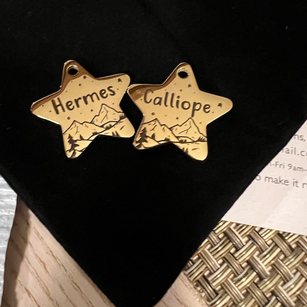 Cat Id Tag - Pet Tag - Cat Tag Personalized - Cat Tag Small - Pet Tags ...