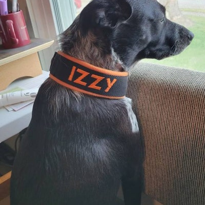 Patch Collar, Hook and Loop, Tactical Collar, Search and Rescue, Do Not ...