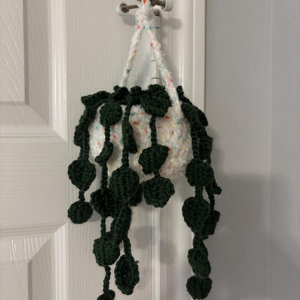 Tiny Pothos Crochet Pattern Bundle | Pothos Jade, Monstera and String ...