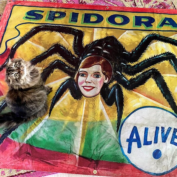 Sideshow Banner - Spidora - Etsy