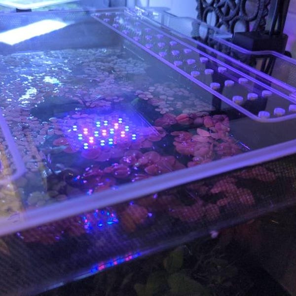 BEST Lid Props for Fluval Flex and Evo Lid Prop (SET OF 2) - Etsy