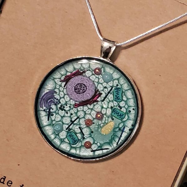 Animal Cell Pendant Necklace - Silver - Art Necklace, Biology Jewellery ...