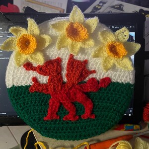 Crochet Pattern - Wales Flag - Instant Pdf Download - Etsy