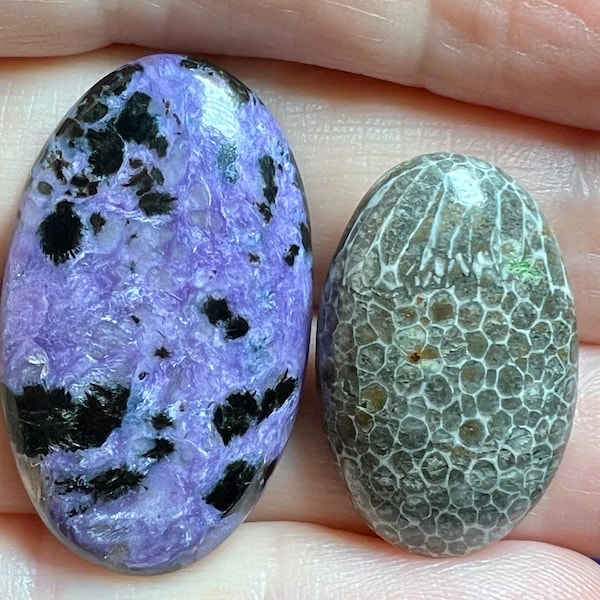Montana Agate Pair Montana Agate Gemstone Pair Matching Pair Montana ...