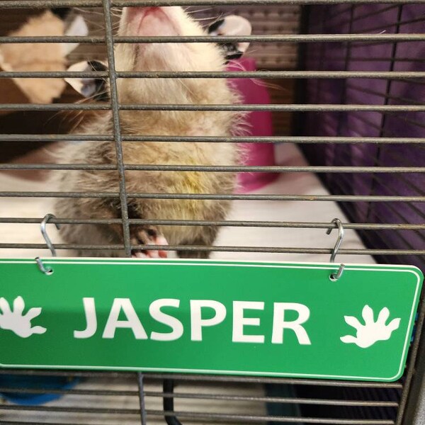 Free GUY Name Tag Non Playable Character Movie Cosplay Name Badge ...