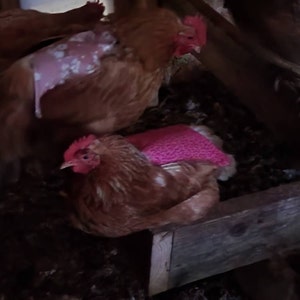 Mermaid Chicken Tutu | Etsy