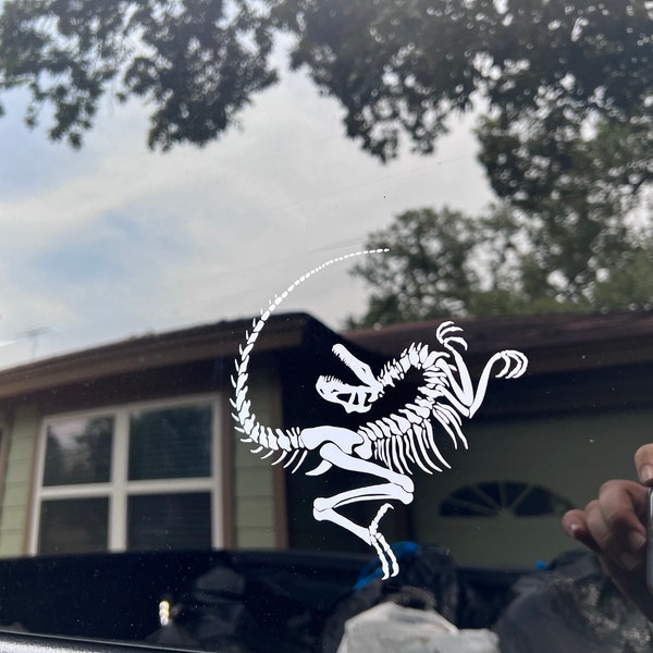 Raptor or Stegosaurus Skeleton Car Decal - Etsy