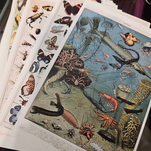 Natural Wonders Postcard Set(2) - Set of 20 Postcards - Vintage ...