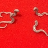 Xenomorph Alien Chest Burster - Set of 4 (sculpted by Papsikels) - Etsy UK