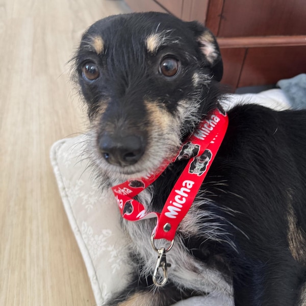 Custom Photo Lanyard, Collage Photo Lanyard, Personalized Neck Lanyard ...