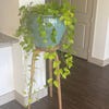Monstera Stand, Metal Stand, Plant Shelf, Tiered Shelf, Plant Stand ...