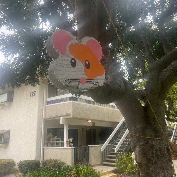 Handmade Cute Hamster Pinata - Etsy