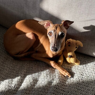 Mini Mountains Baby Blanket Crochet Pattern - Etsy