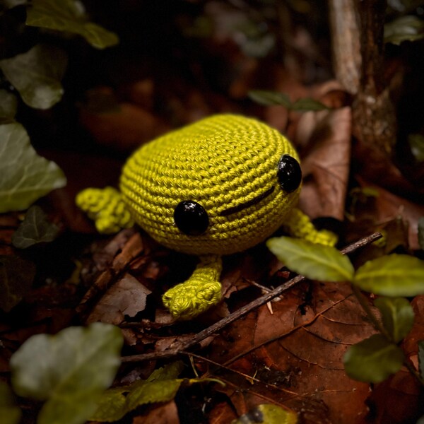 Toon Desert Rain Frog Crochet Pattern PDF – Cute Amigurumi Frog Plush ...