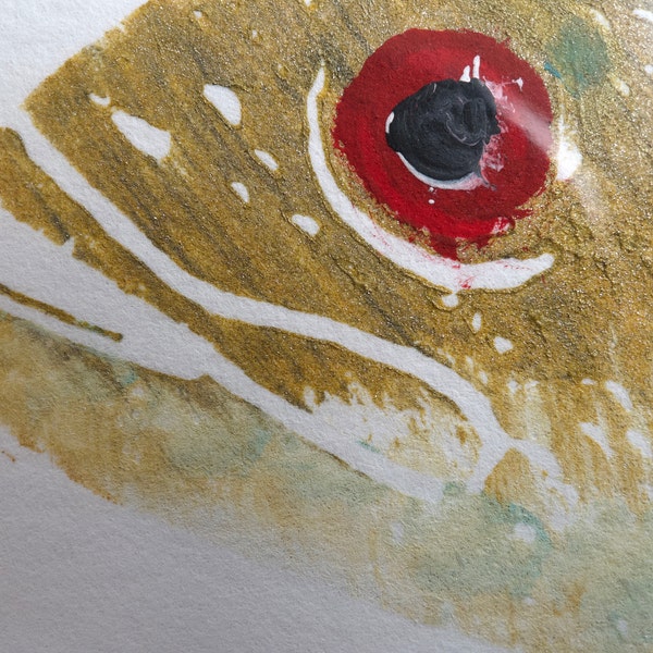 Freshwater Fish Print - Etsy