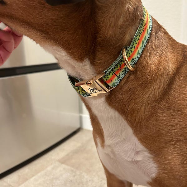 Rainbow Trout Dog Collar Personalized Cutbow Trout Dog Collar Fishing ...
