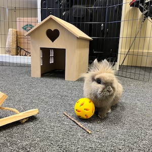 Small Picnic Table Guinea Pig Picnic Table Hamster Picnic - Etsy