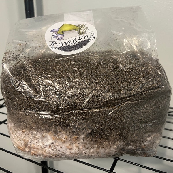 FIVE Magical 5lb All in One Mushroom Growing Bags Discounted Listing ... FIVE Magical 5lb All in One Mushroom Growing Bags Discounted Listing ...
