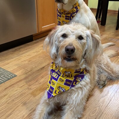 Louisiana State University Fighting Tigers Over Collar Dog Bandana, LSU ...