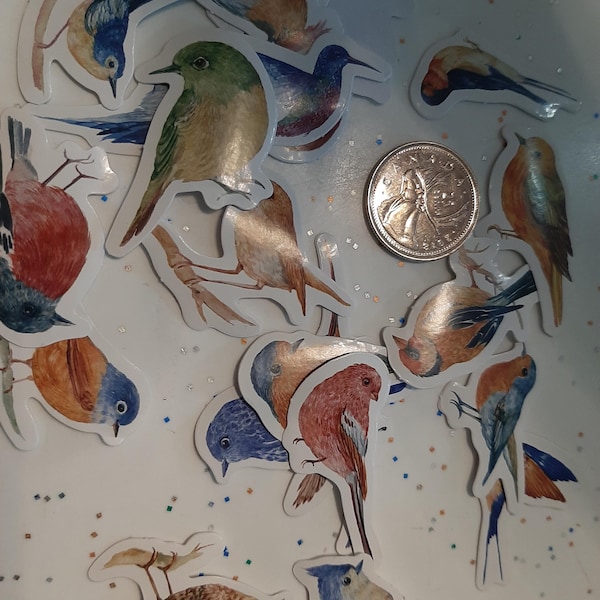 Retro Film Frame Sticker, Vintage Camera Film Roll Sticker, Film Strip ...