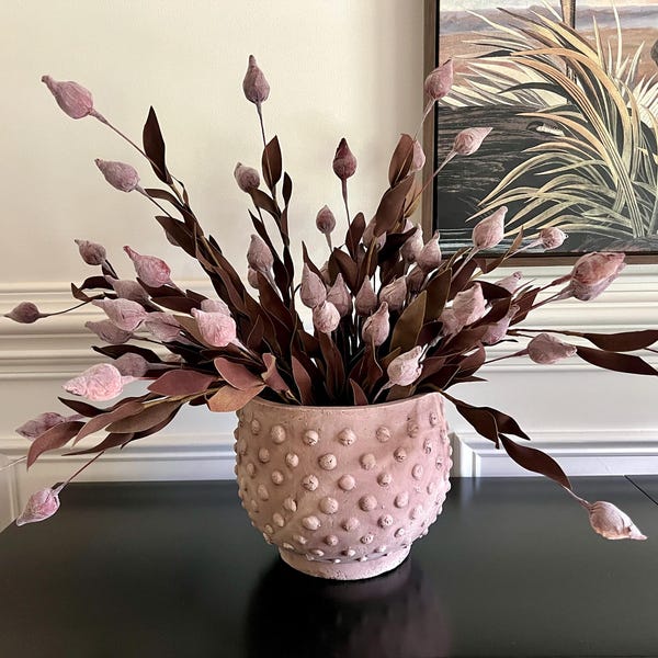 27.5" Baby Cosmos Spray X5 Blue - Etsy