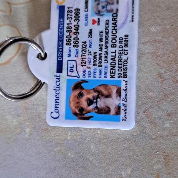 Texas Driver Dog Id Tag Personalized License, Durable Dog Tag, Double ...