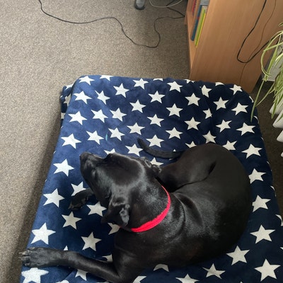 3-way Adjustable Rope Leash, Dog Leash, Guide Leash, Dog Accessories ...