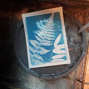 Cyanotype Kit, Cyanotype Stencils, Solar Art, Craft Kit, Diy Craft ...