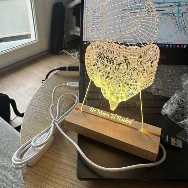 Cat on the Moon LED Night Light: 3D Illusion Lamp - Etsy