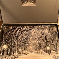 Spring Meadow Note Cards - Etsy